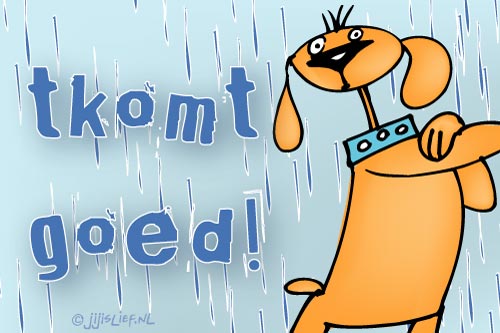 Jij is Lief - kaart: Het komt goed!